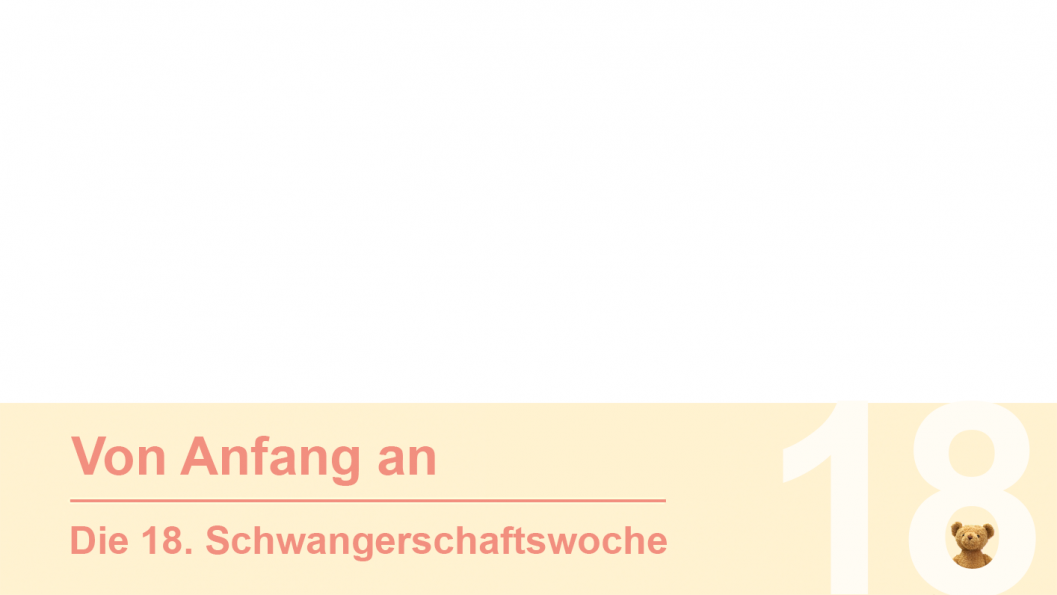 Schwangerschaftswoche 18 | Krankenhaus Reinbek